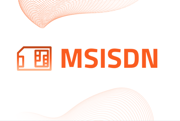 MSISDN: What is it? - Read more information